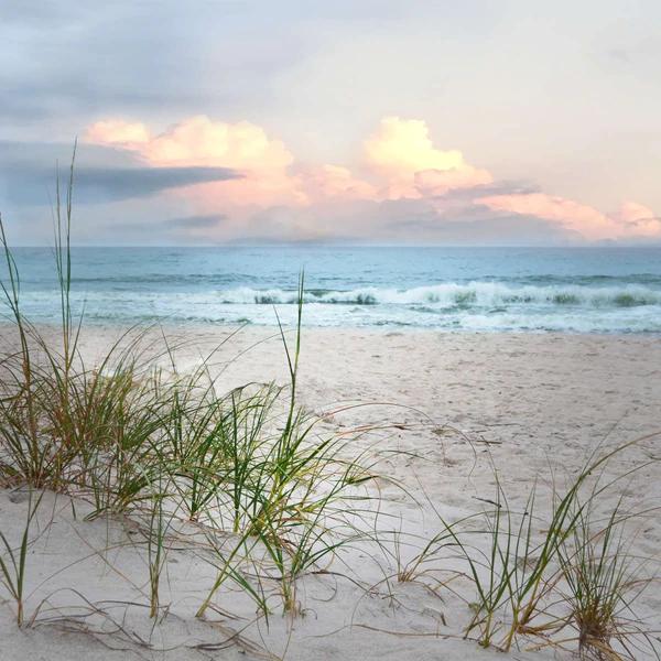 Sandy Beach Wall Art | Prints, Framed Prints And Multi Panel Art