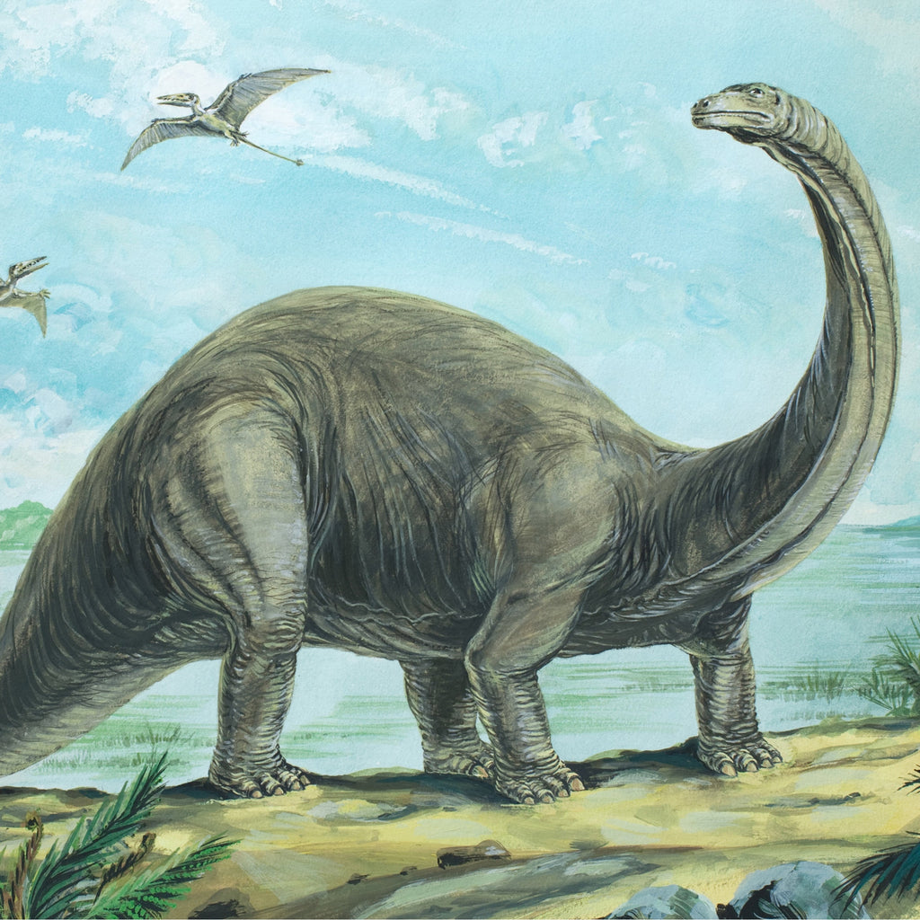 Sauropod Drawings | Prints, Framed Prints And Multi Panel Art