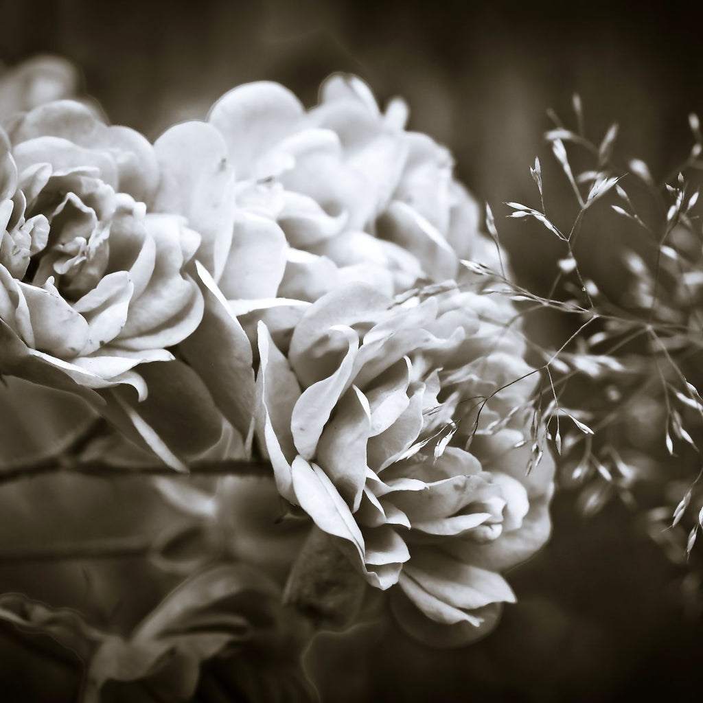 Sentimental Wall Art | Prints, Framed Prints And Multi Panel Art