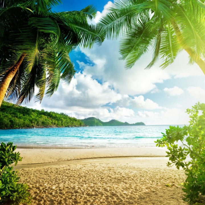 Sinky Bay Beach Wall Art: Canvas Prints, Art Prints & Framed Canvas