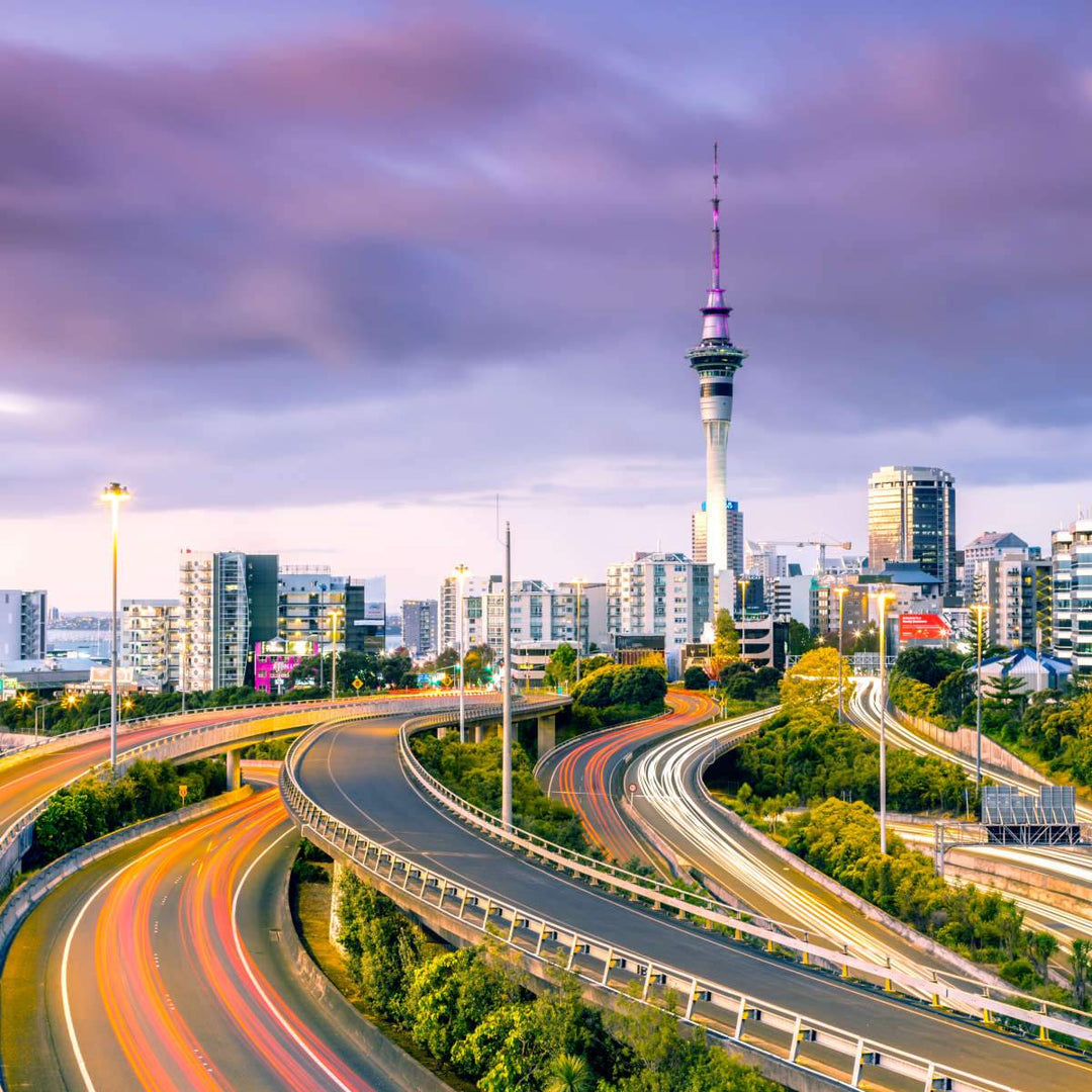 Cartoon Auckland Skyline Wall art | Elephant Stock