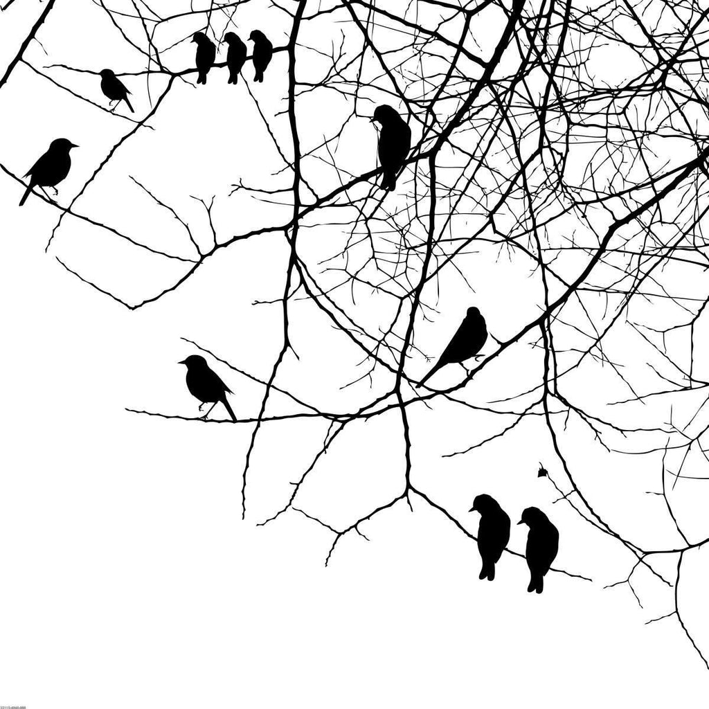 Songbird Wall Art | Prints, Framed Prints And Multi Panel Art