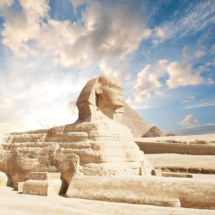 Medieval Griffin Monster Wall art | Elephant Stock