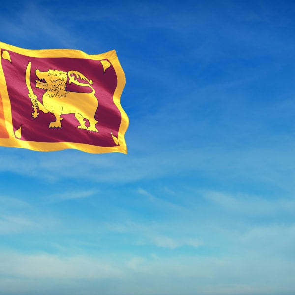 Sri Lanka Flags Wall Art | Prints, Framed Prints And Multi Panel Art
