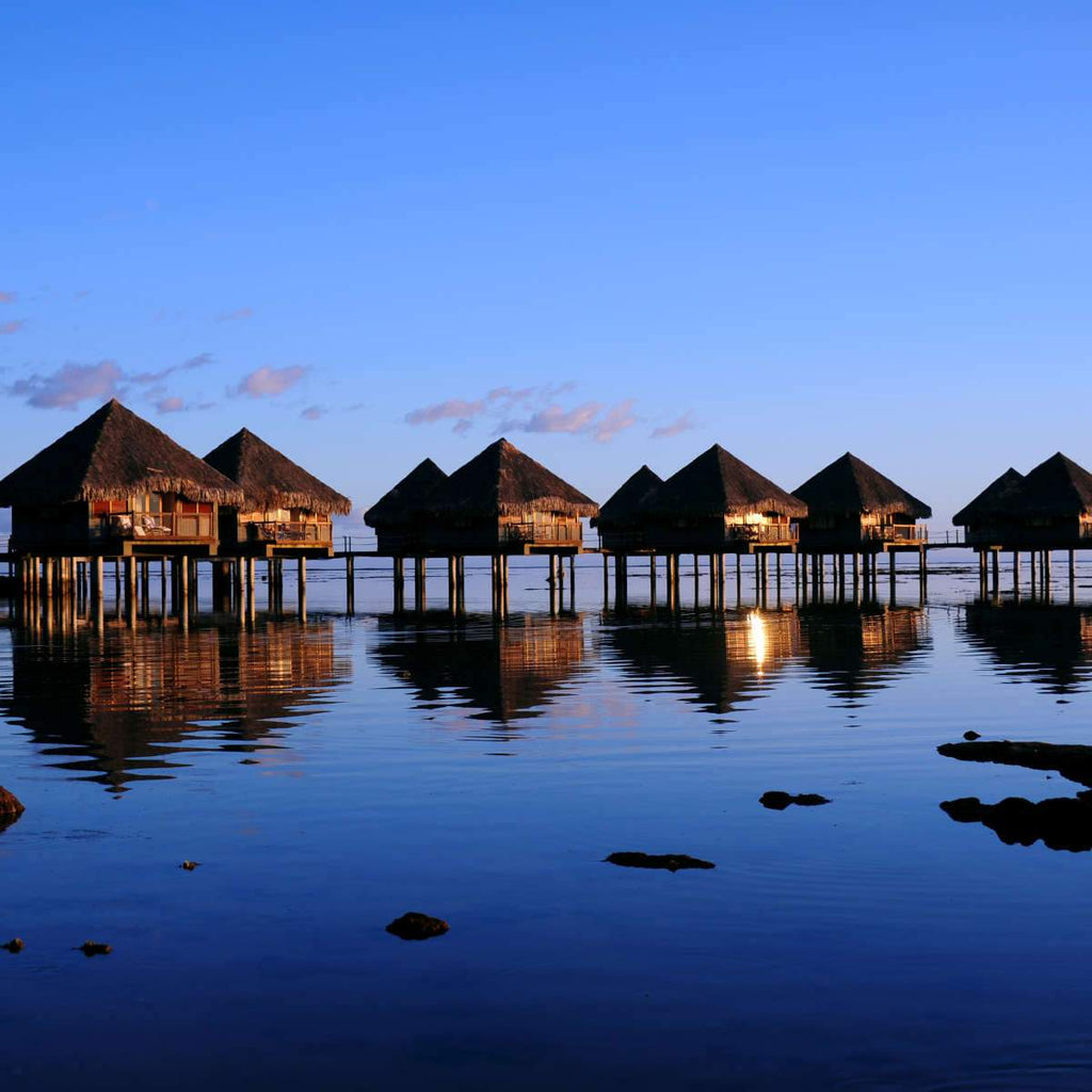 Tahiti Paintings | Prints, Framed Prints And Multi Panel Art