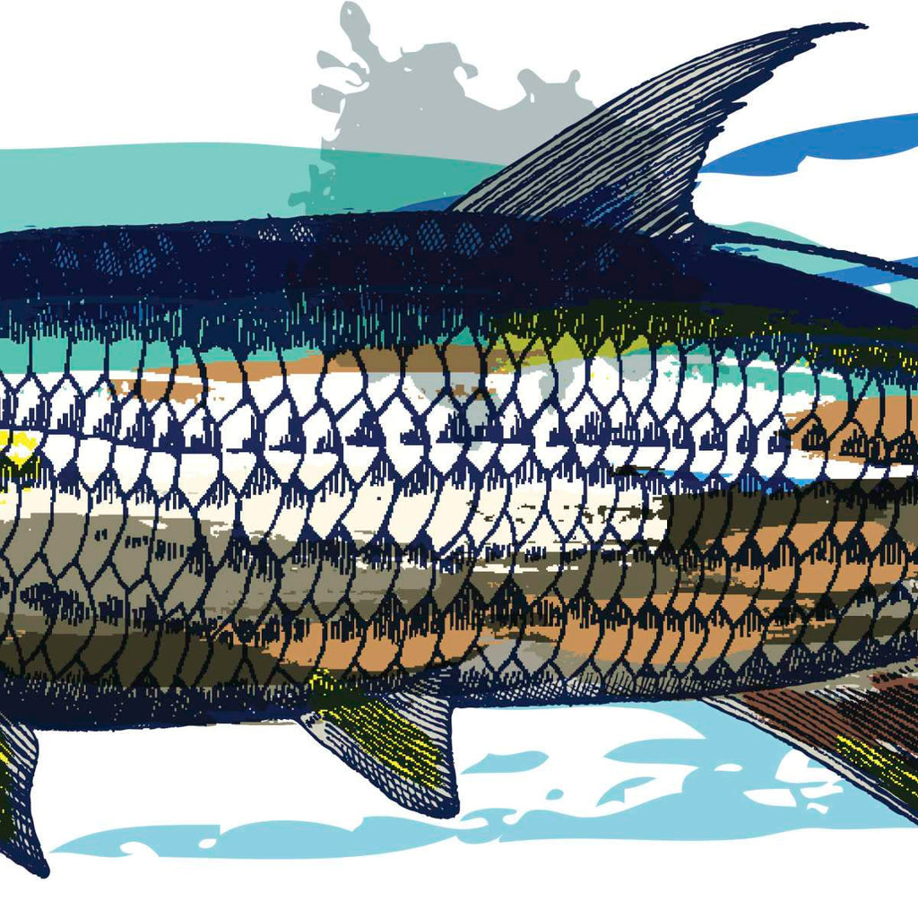 Tarpon Wall Art | Prints, Framed Prints And Multi Panel Art