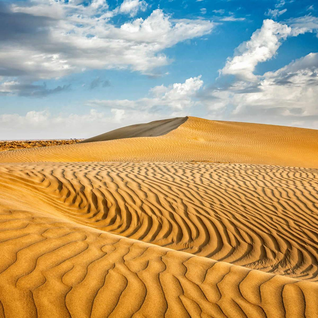Thar Desert Sand Dunes