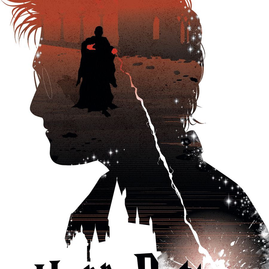 Harry Potter Dobby Is Free Wall Art: Canvas Prints, Art Prints & Framed ...