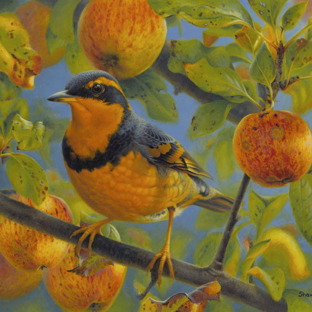 Keeping Warm In My Nest Wall art by Jai Johnson | Elephant Stock