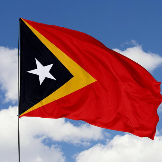 Satin Timor Leste Flag Wall art | Elephant Stock