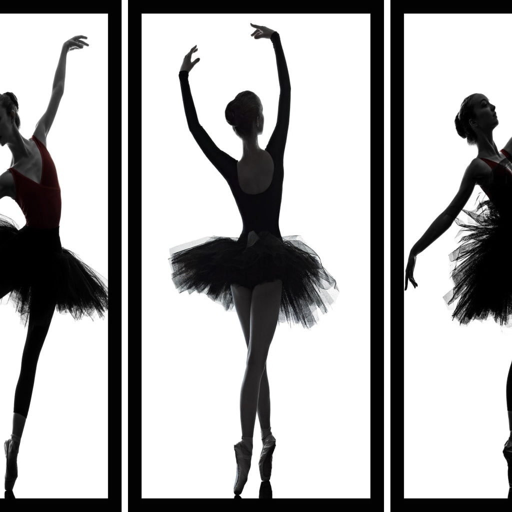 Tutu Wall Art | Prints, Framed Prints And Multi Panel Art