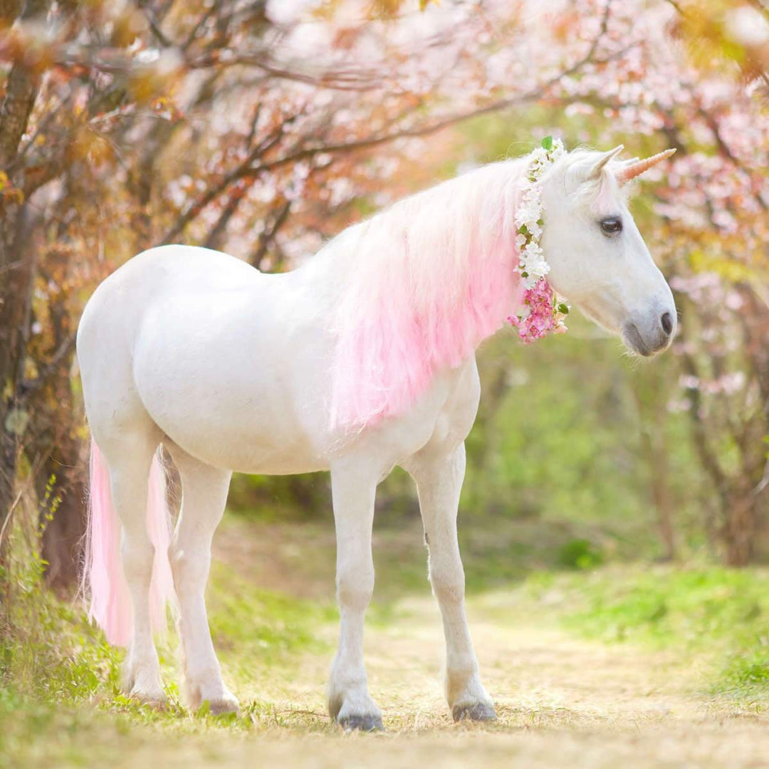 Medieval Griffin Monster Wall art | Elephant Stock