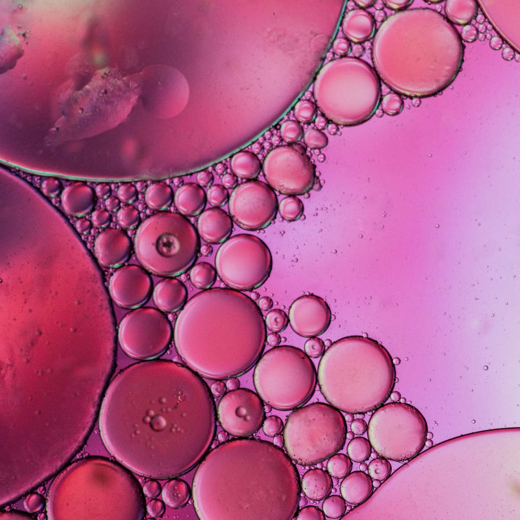 Viva Magenta Wall Art | Prints, Framed Prints And Multi Panel Art