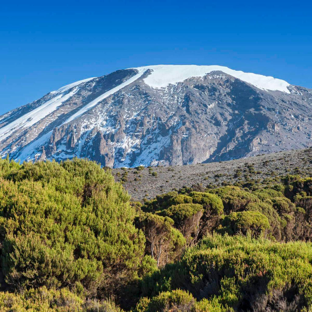 Volcano Wall Art | Prints, Framed Prints And Multi Panel Art