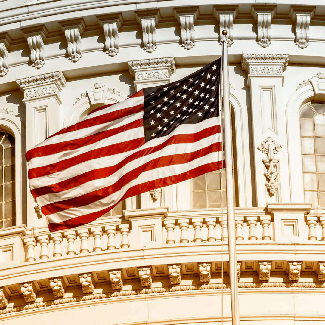 Capitol Building Flag Wall art | Elephant Stock