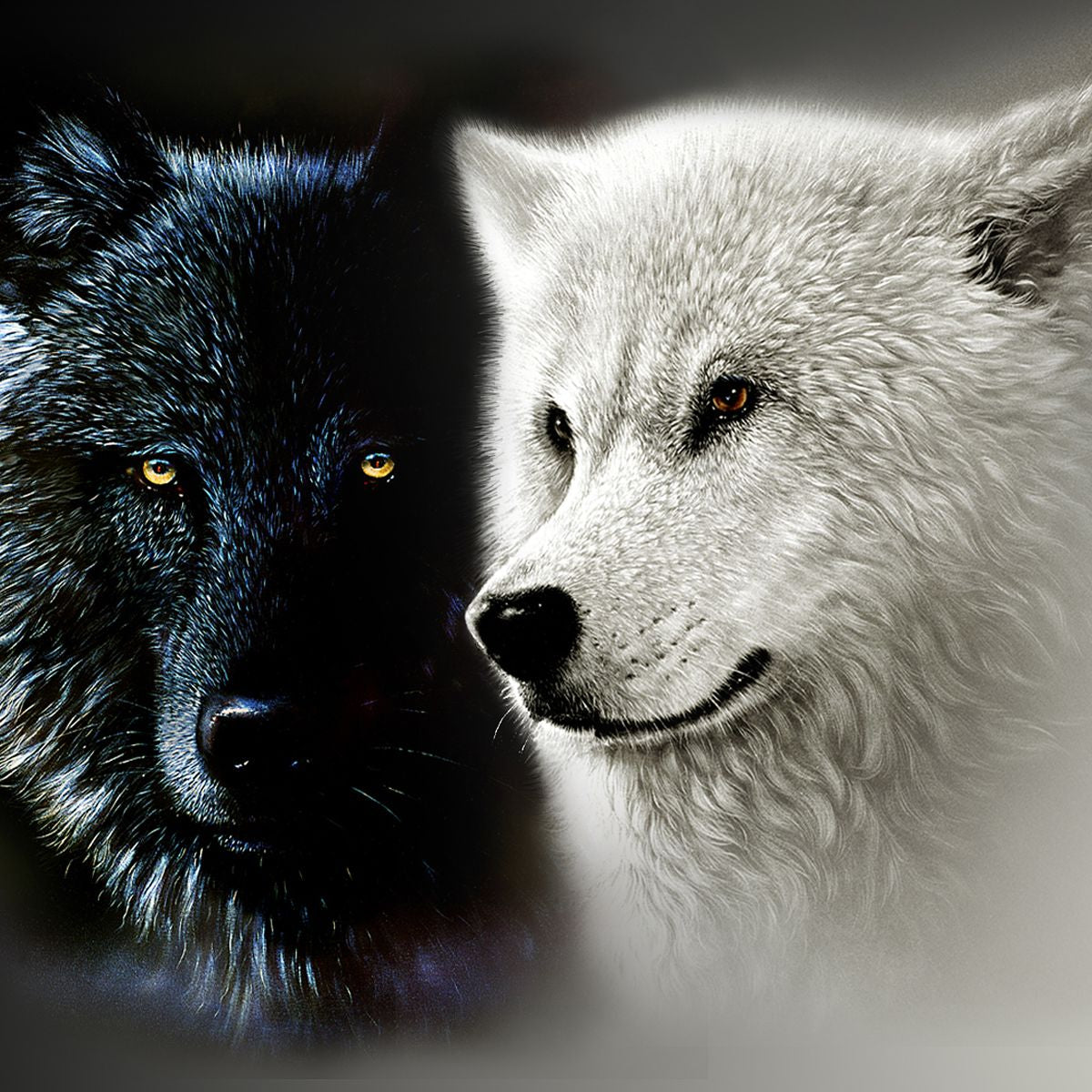 Two Wolves Black And White