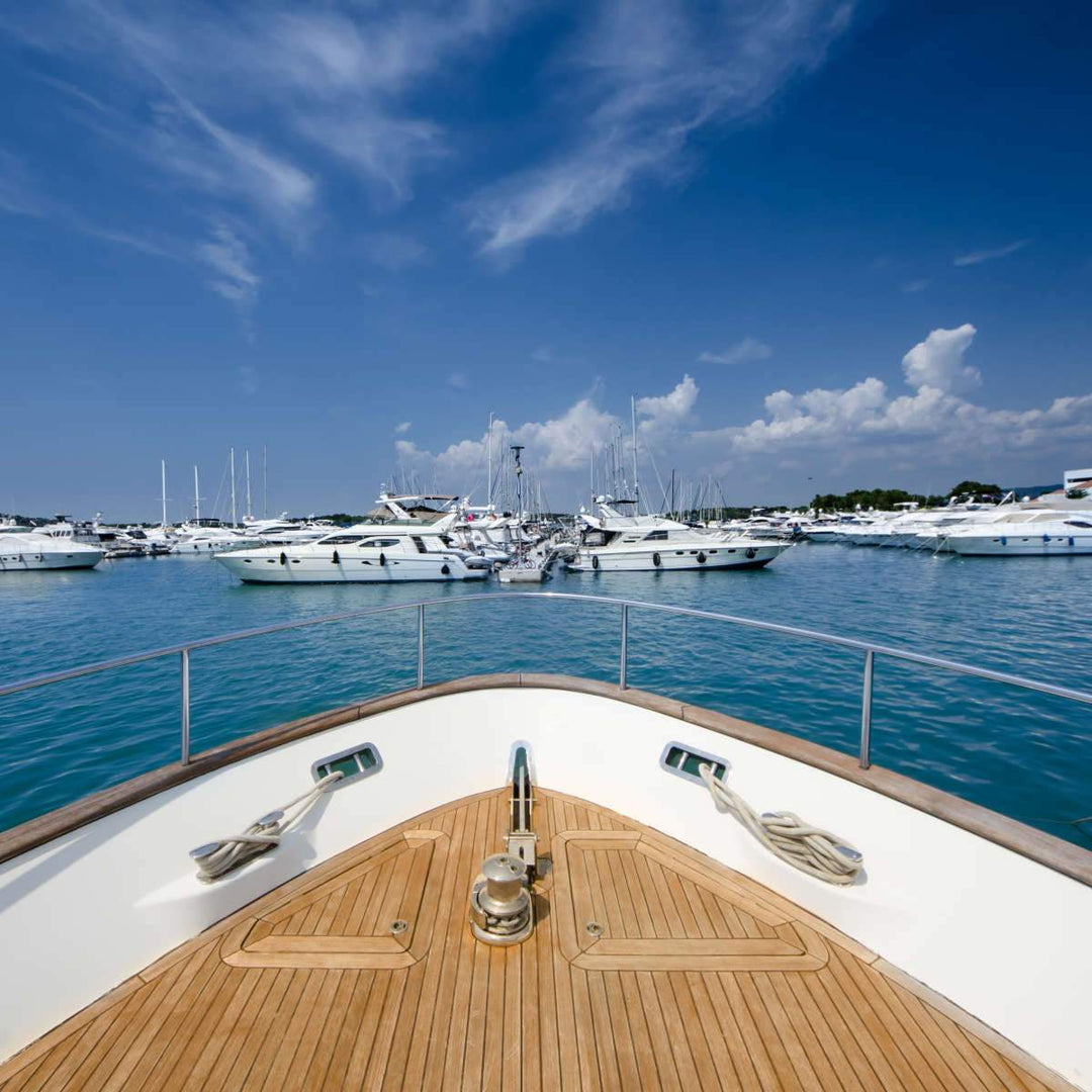 Empire Sandy Wall art | Elephant Stock