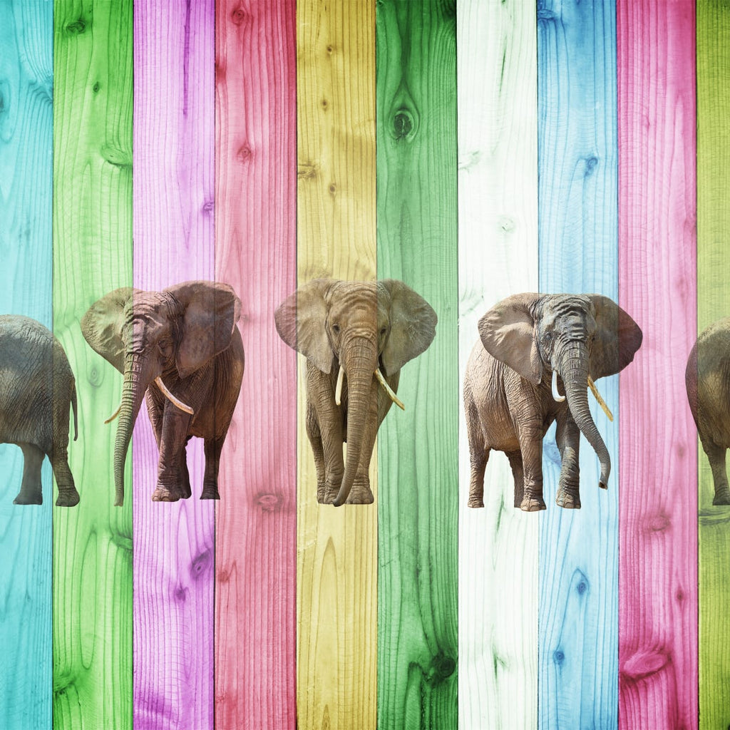 Zoo Wall Art | Prints, Framed Prints And Multi Panel Art